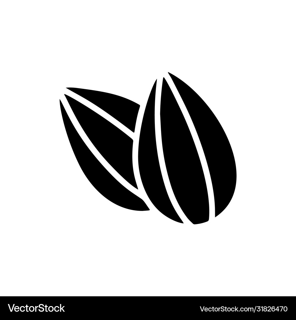 Almond Seed Outline Icon – Royalty-Free Vector | VectorStock