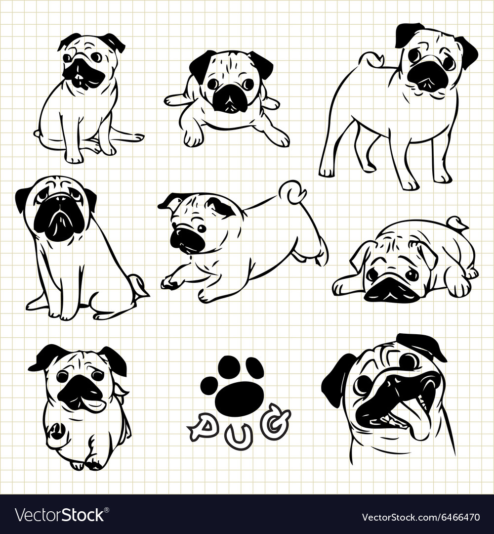 Pug Royalty Free Vector Image - VectorStock