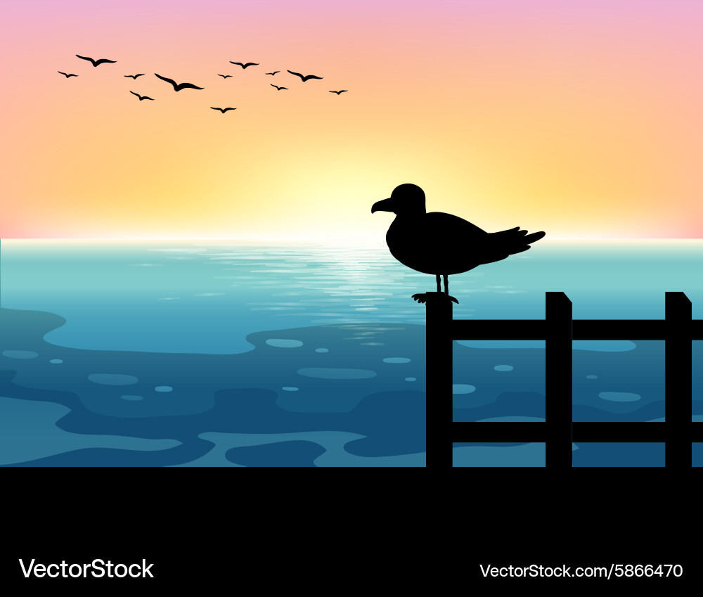 Silhouette bird at sea Royalty Free Vector Image