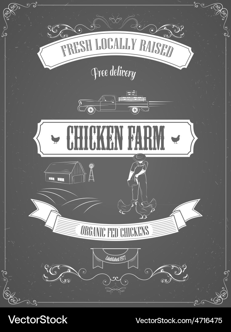 Chicken farm vintage advertisement poster Vector Image
