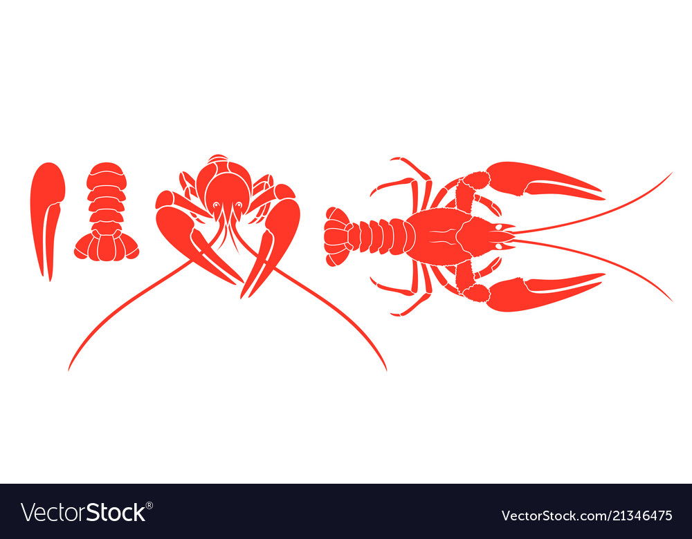 Crayfish Royalty Free Vector Image - VectorStock
