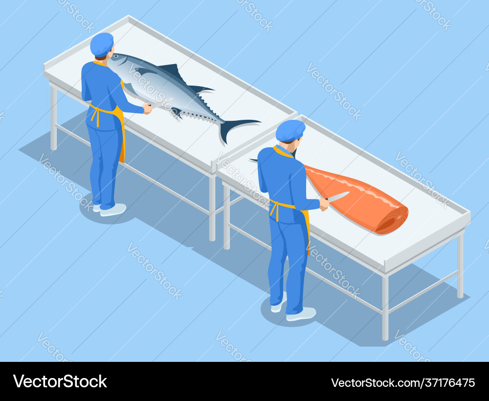 Isometric fish industry seafood production Vector Image