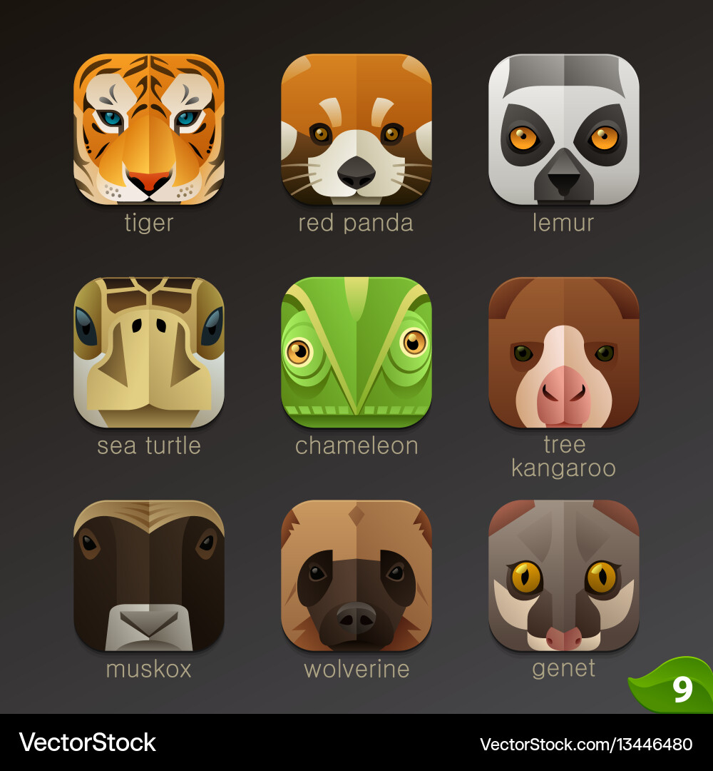 Animal faces for app icons-set 9 Royalty Free Vector Image