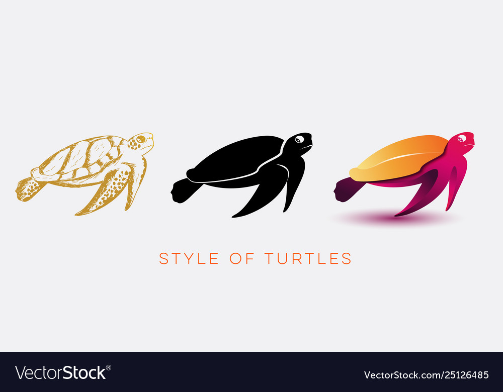 Turtle design Royalty Free Vector Image - VectorStock