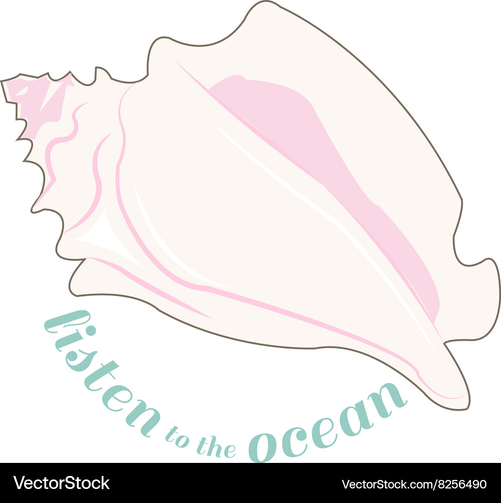 Elegant Conch Shell Royalty Free Vector Image - VectorStock