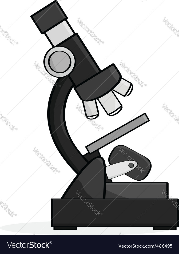 Microscope Royalty Free Vector Image - VectorStock