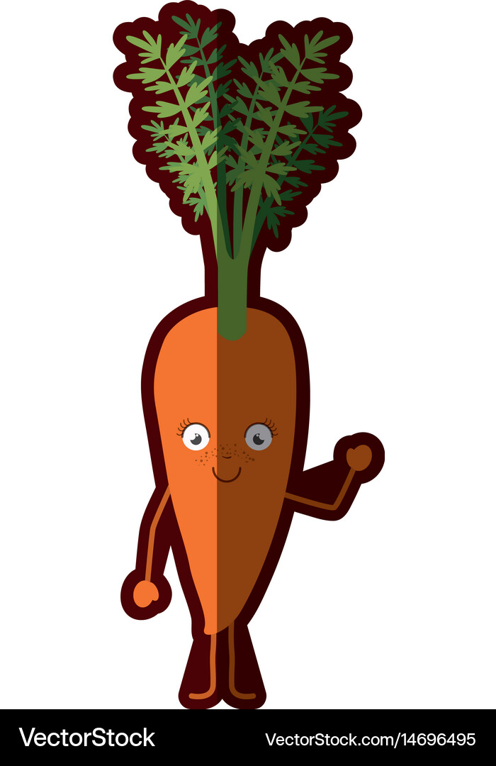White background with carrot cartoon half Vector Image