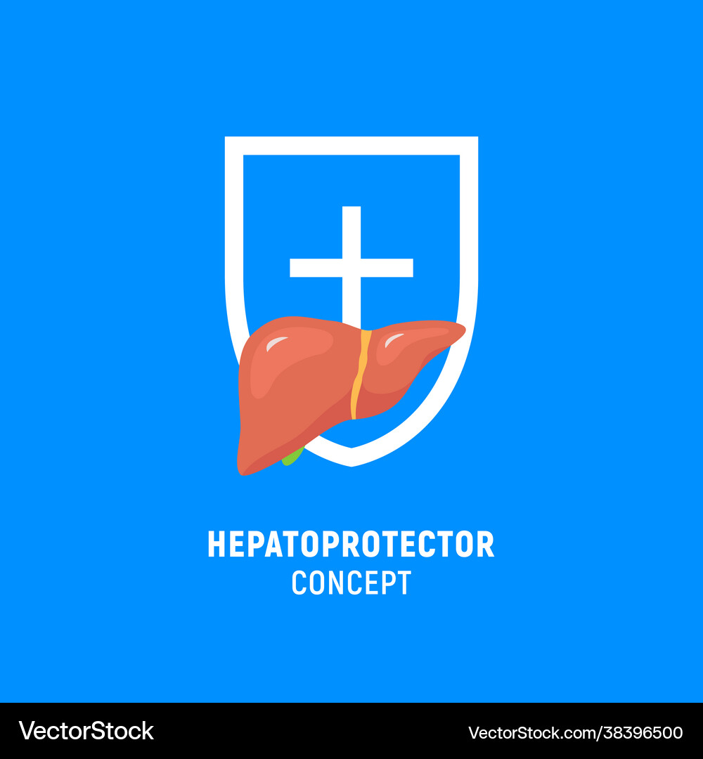 Hepatoprotector concept icon healthy liver flat Vector Image