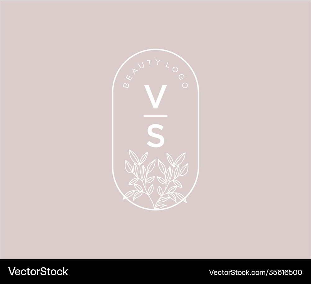 Initial vs letters beautiful floral feminine Vector Image