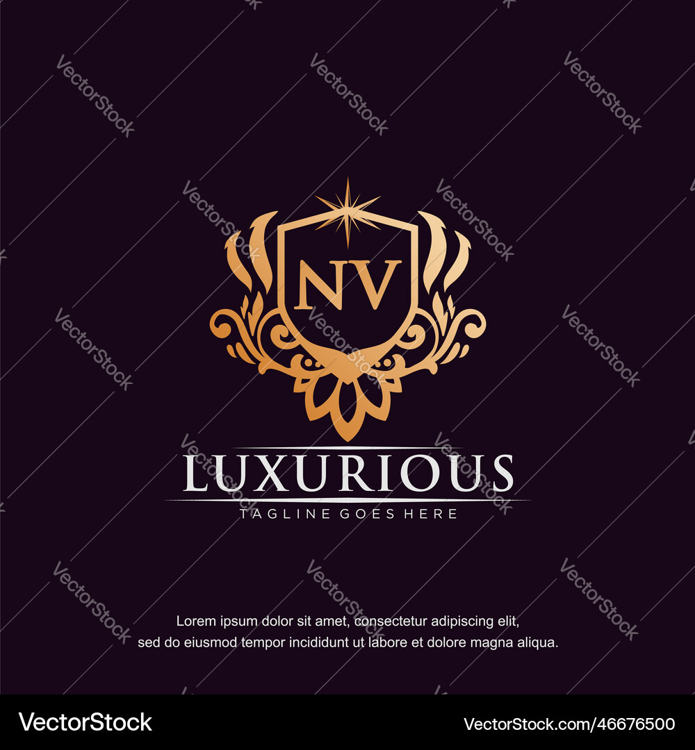 Nv initial letter luxury ornament gold monogram Vector Image