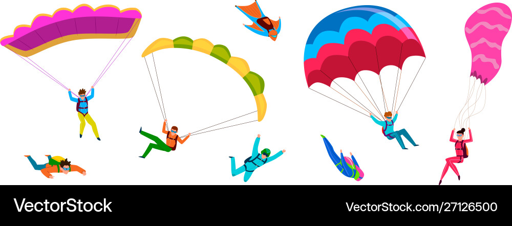 Skydivers professional skydiving people jump Vector Image