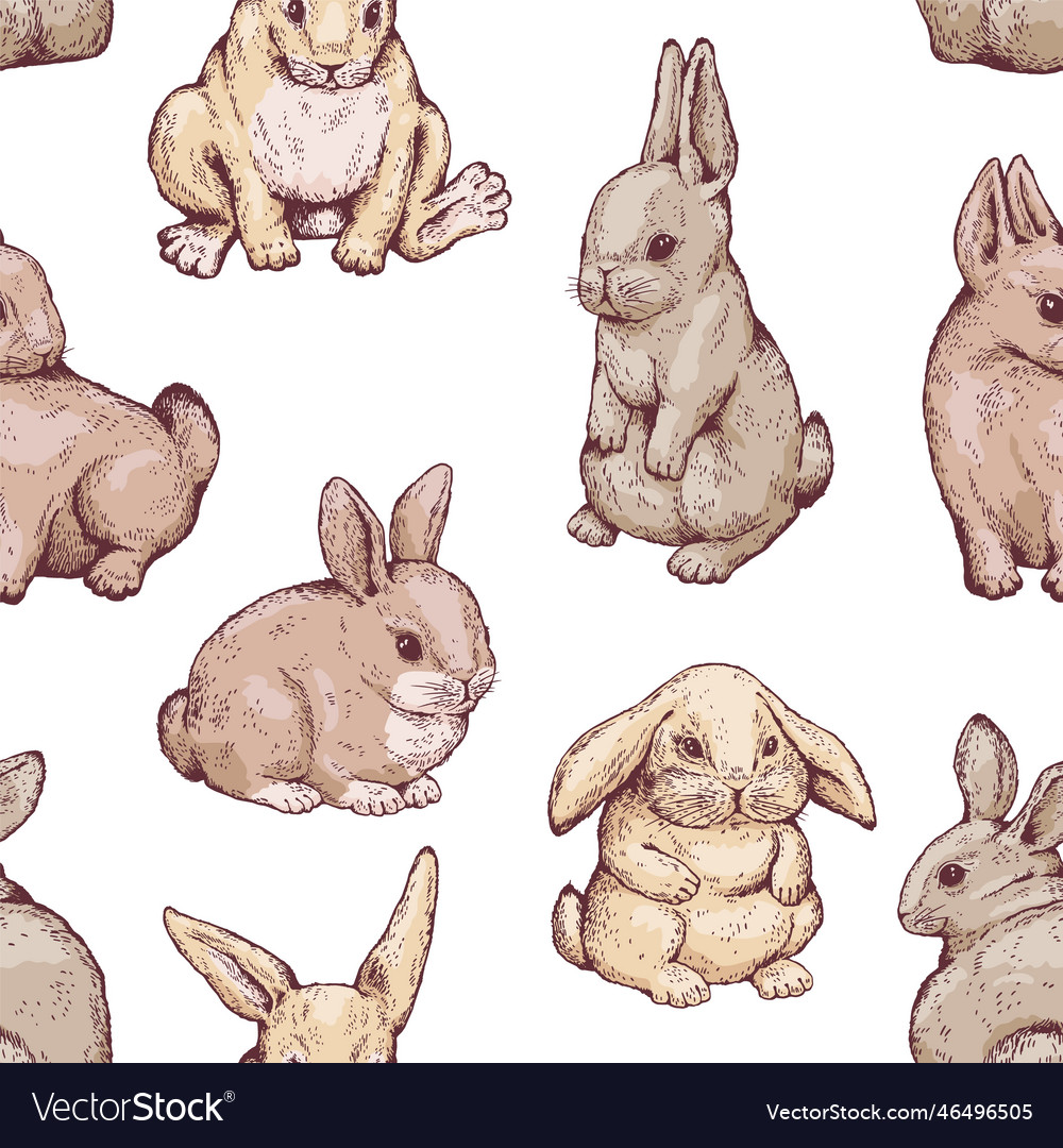 Cute rabbit seamless pattern hand drawn sketch Vector Image