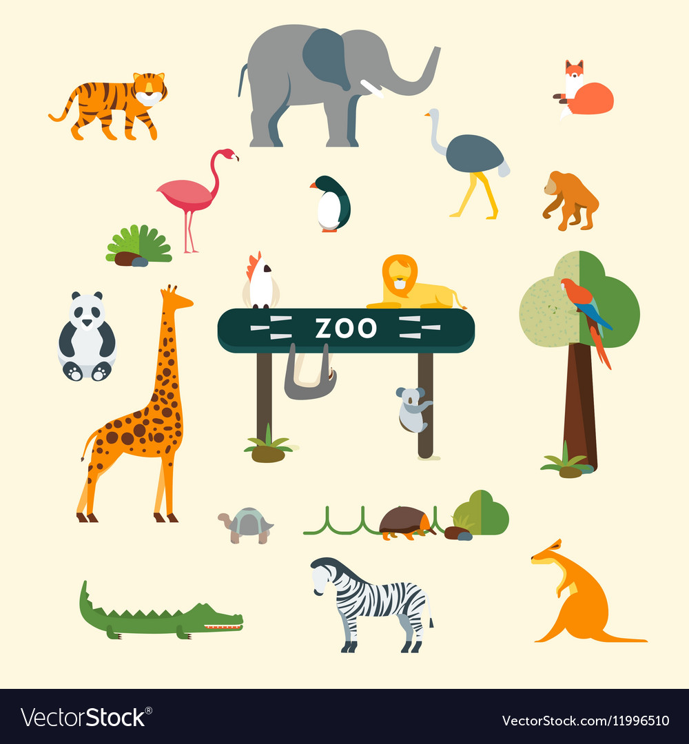 Animals and Zoo Royalty Free Vector Image - VectorStock