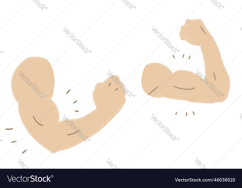 Body parts material male upper arm bicep Vector Image