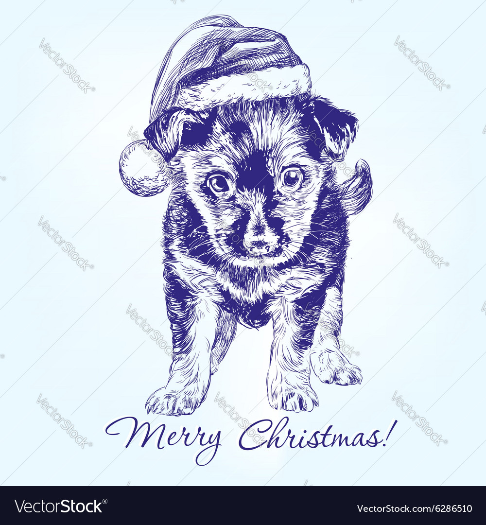 Christmas puppy in santa stocking hat hand drawn Vector Image