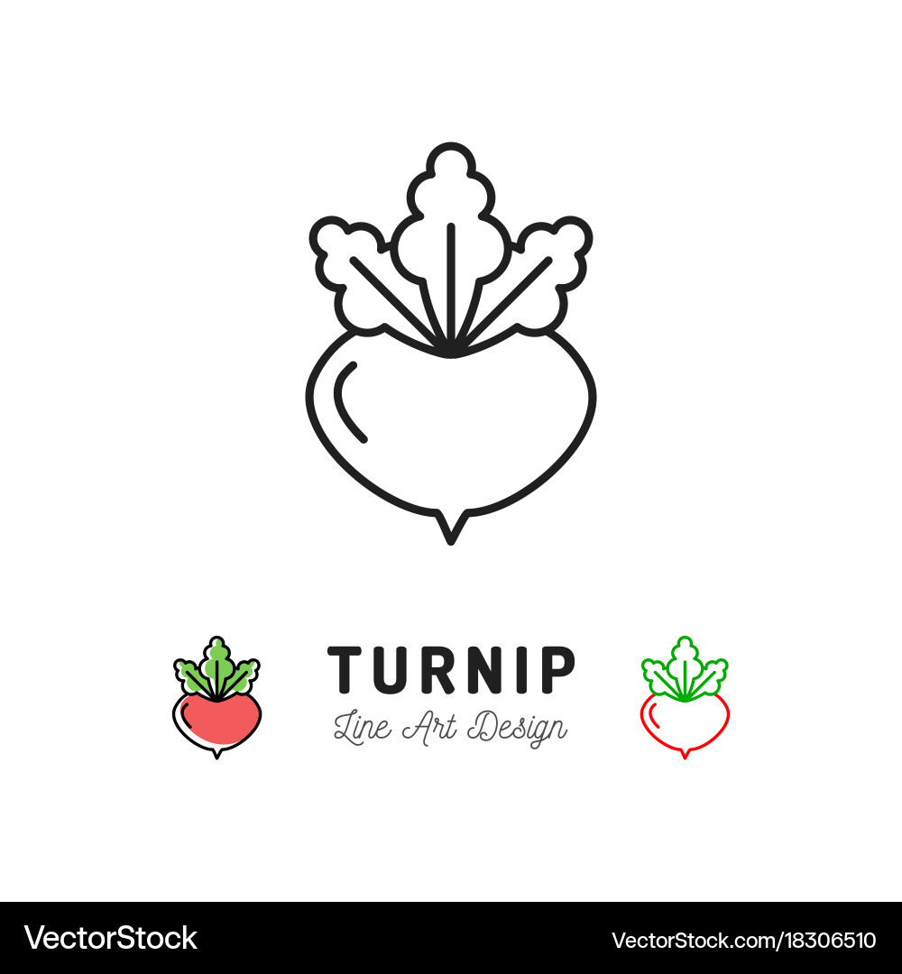 Turnip icon vegetables logo thin line art design Vector Image