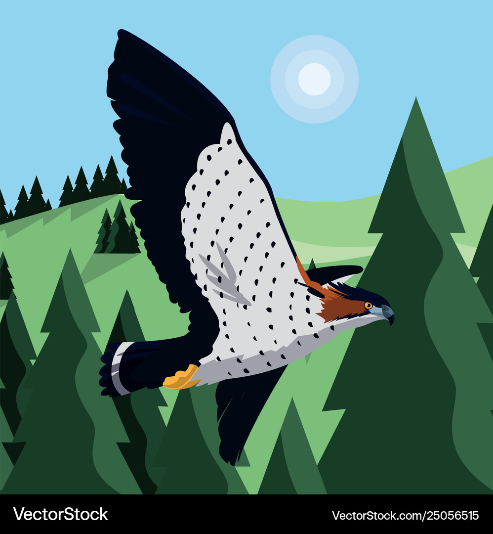 Beautiful hawk flying majestic bird Royalty Free Vector