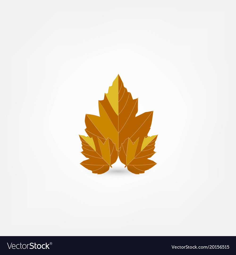 Maple leaf icon Royalty Free Vector Image - VectorStock