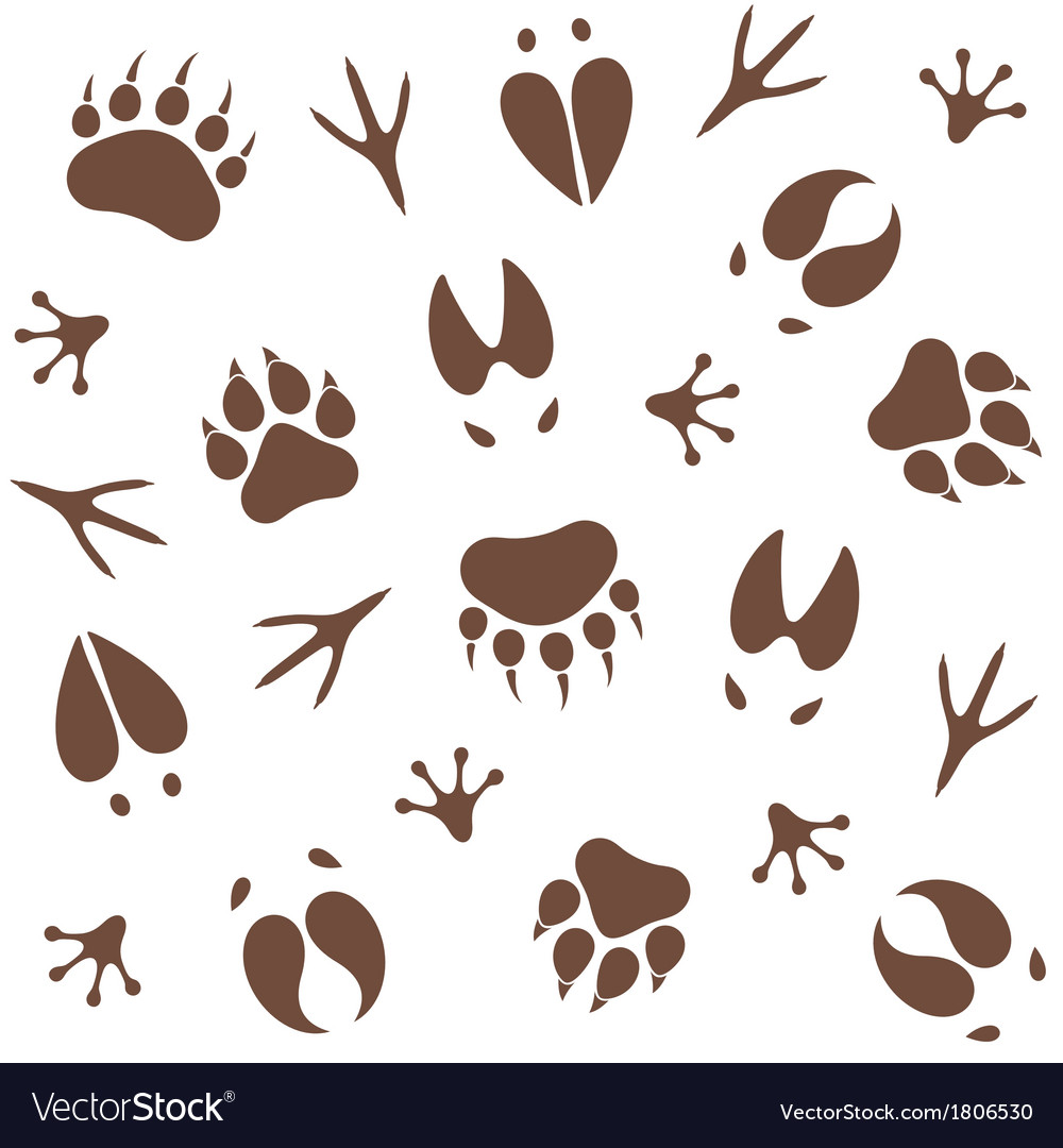 Paw print pattern Royalty Free Vector Image - VectorStock