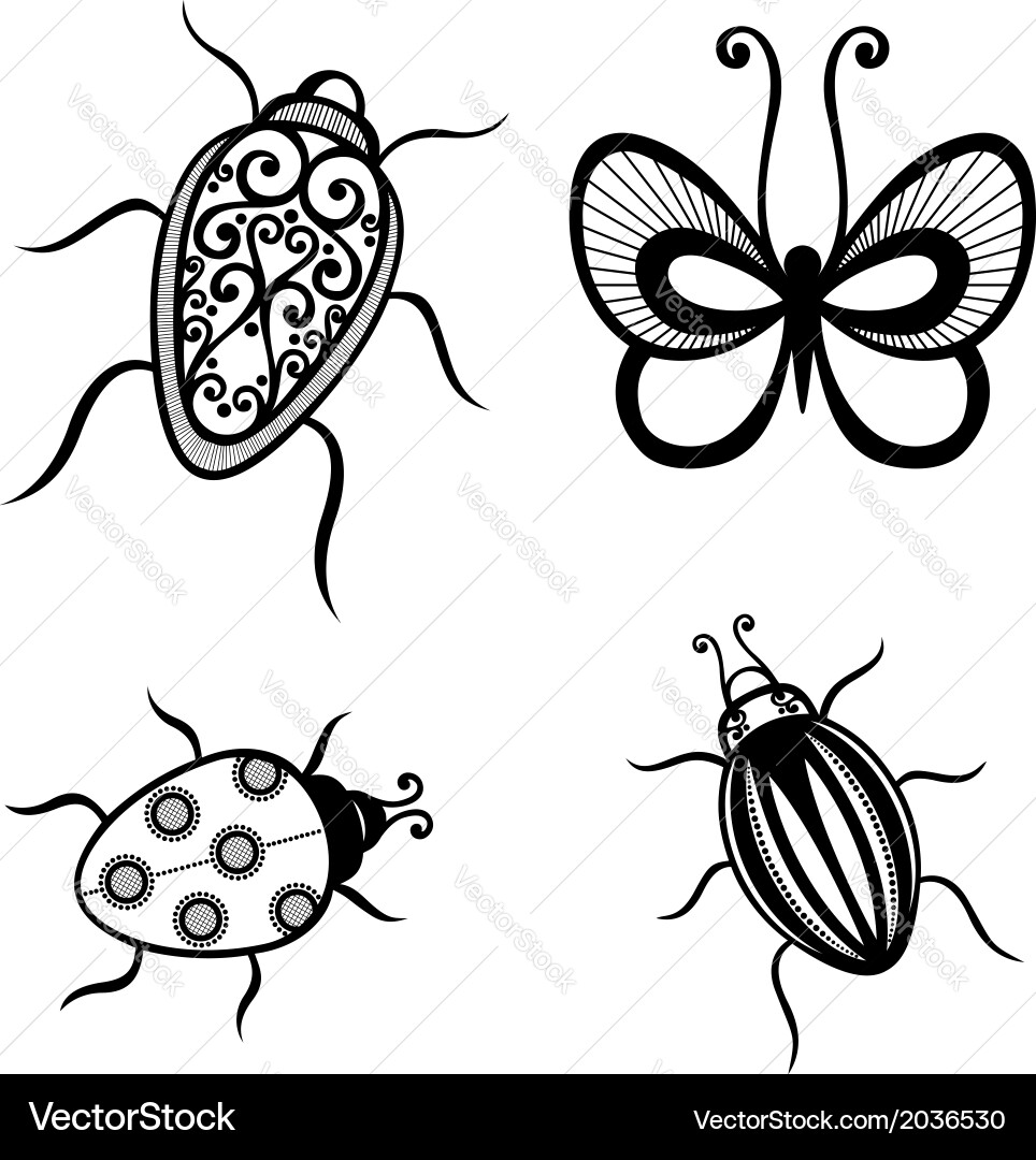 Set of beautiful exotic insects Royalty Free Vector Image
