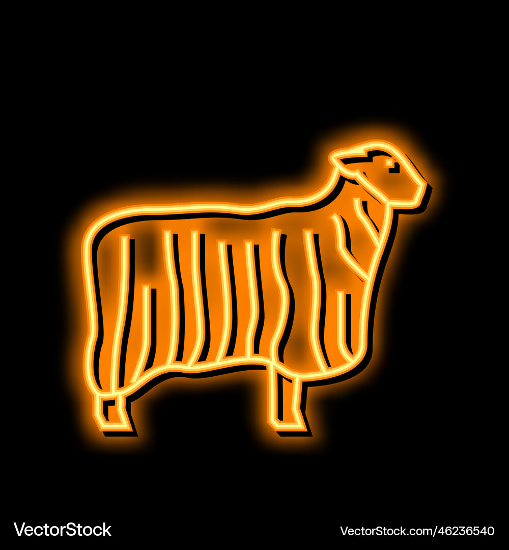 13 teeswater sheep neon glow icon Royalty Free Vector Image