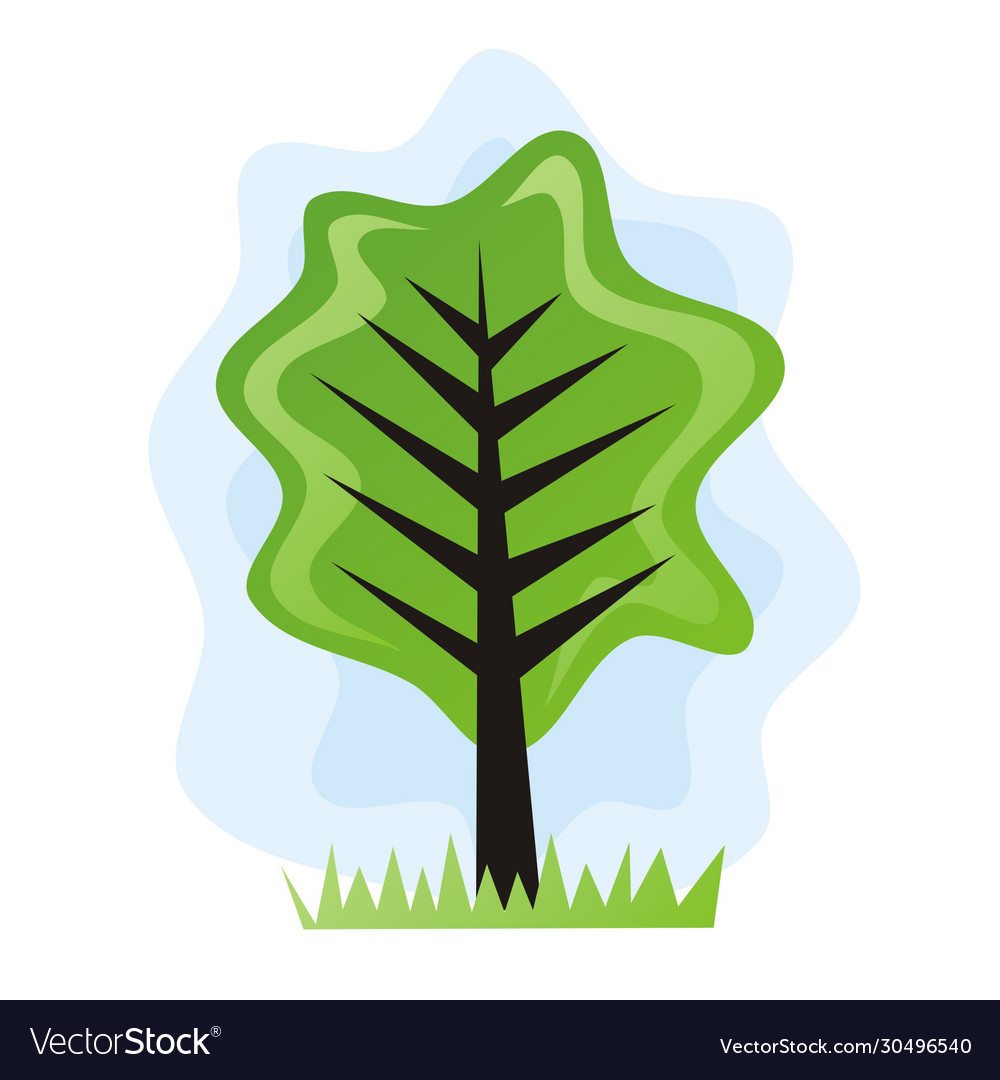 Tree Royalty Free Vector Image - VectorStock