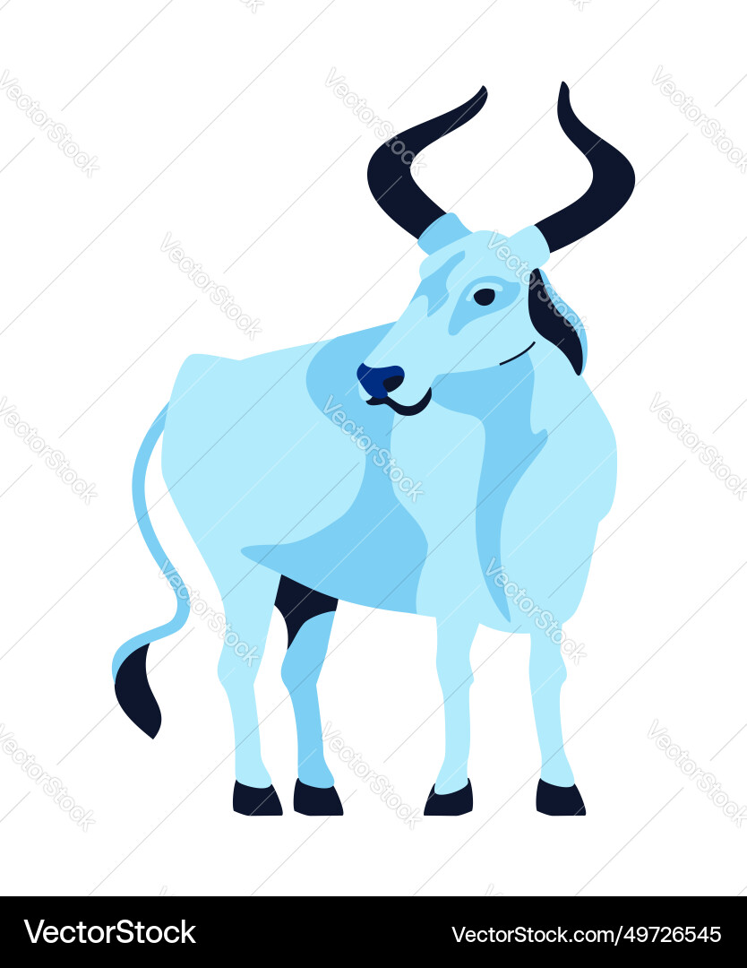 Indian sacred cow - modern flat design style Vector Image