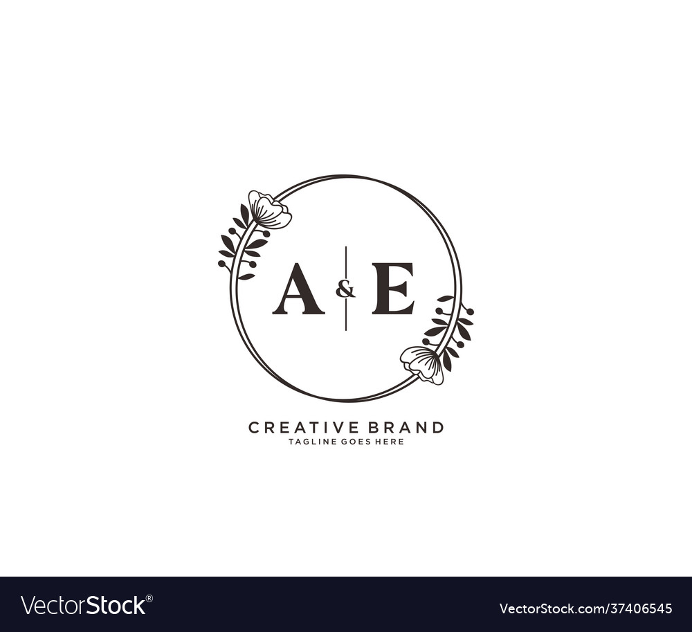 Initial ae letters hand drawn feminine and floral Vector Image