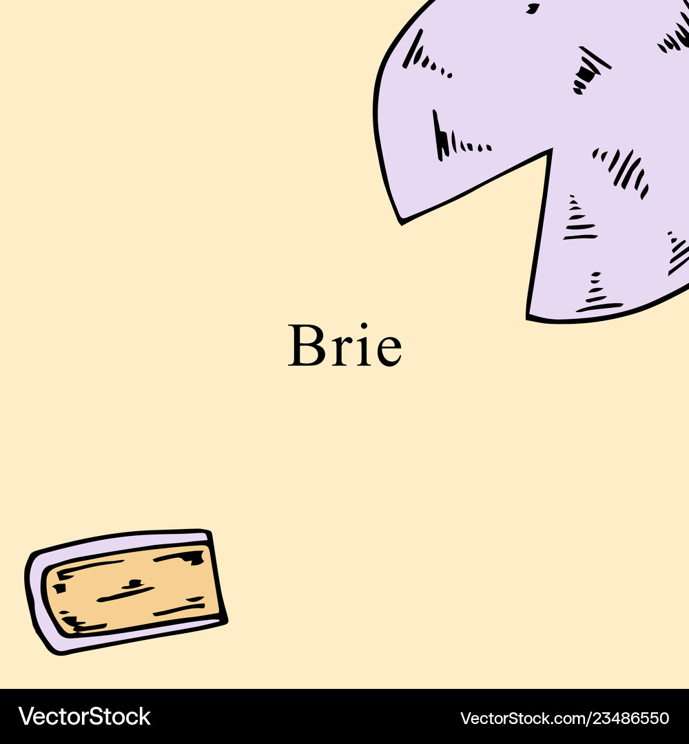 Brie in cartoon style Royalty Free Vector Image