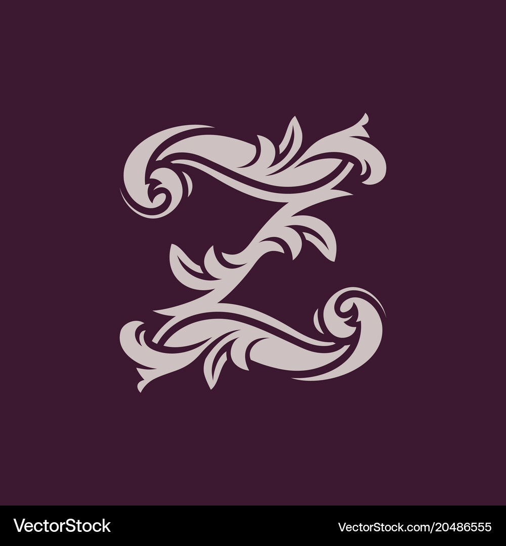 Sign the letter z Royalty Free Vector Image - VectorStock