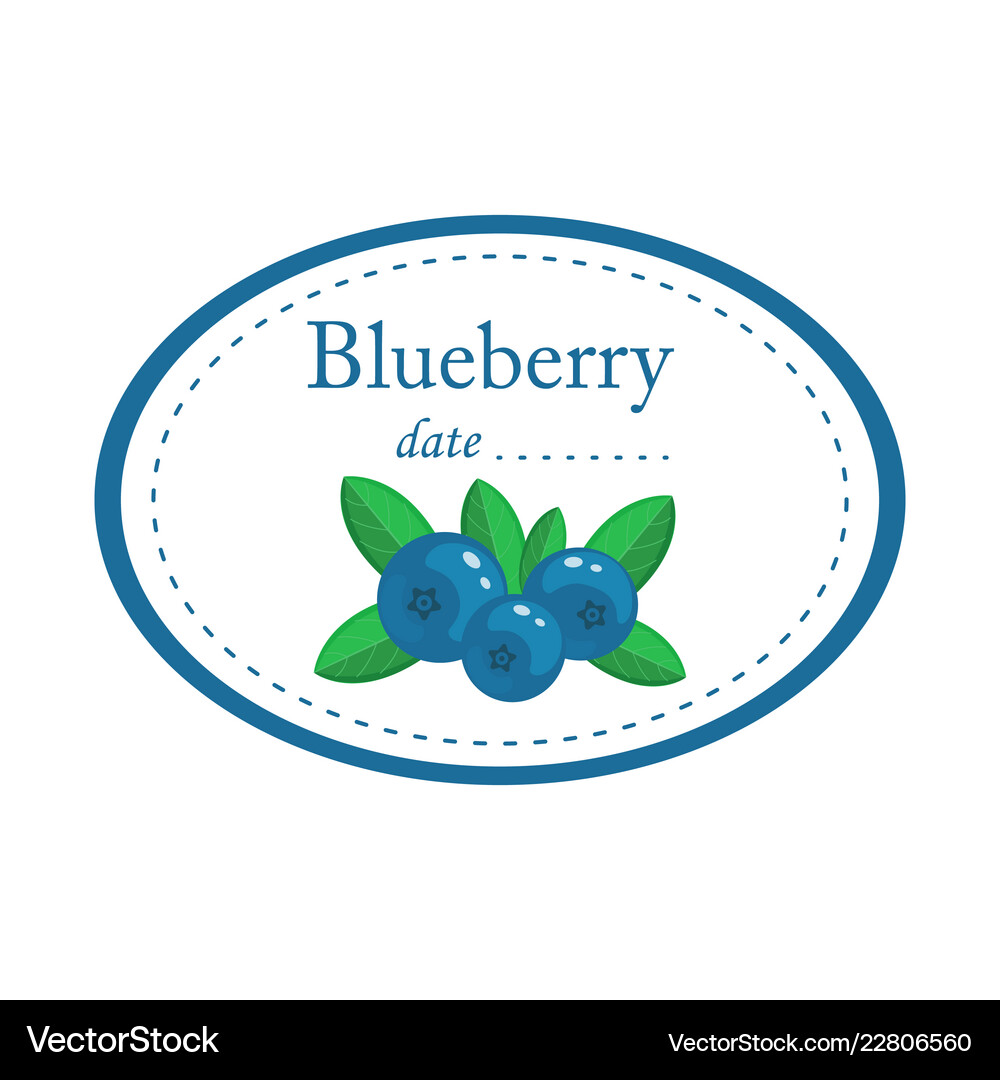 Blueberry label disign isolated on white Vector Image