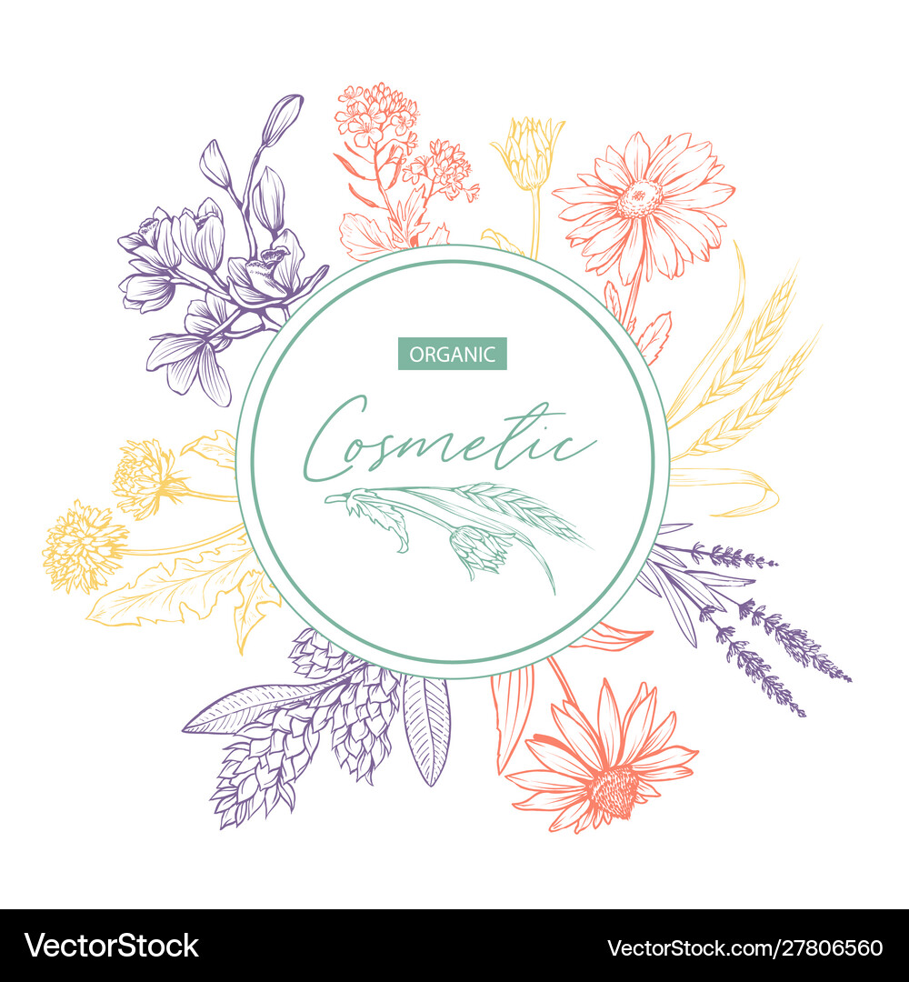 Herbal organic cosmetics hand drawn sticker Vector Image