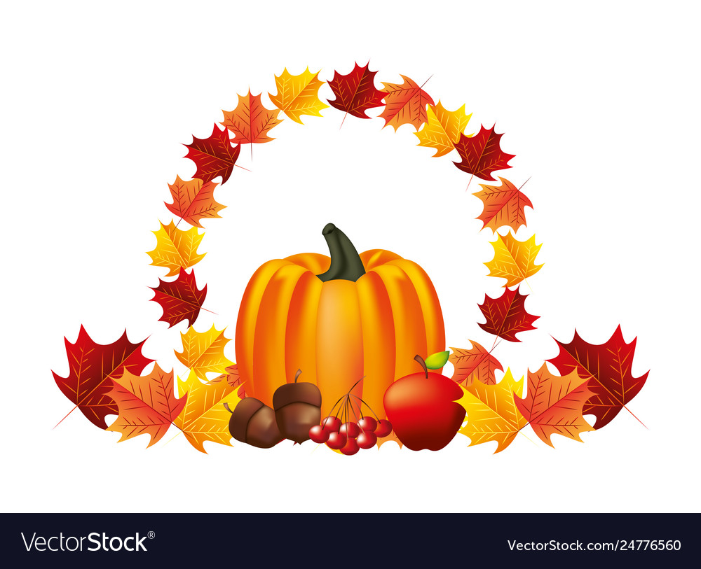Pumpkin apple acorn and cherries leaves Royalty Free Vector