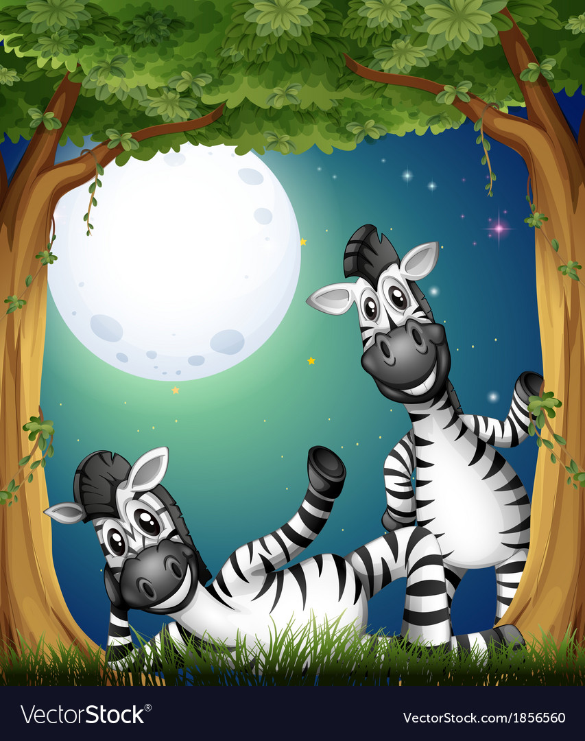 Two zebras at forest Royalty Free Vector Image