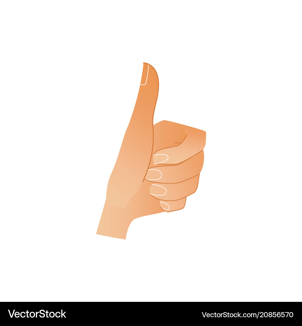 Human hand showing thumbs up gesture isolated Vector Image