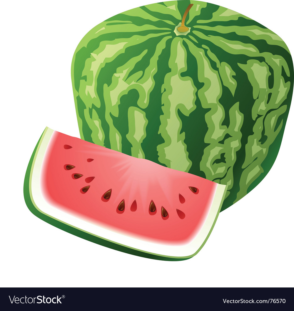 Watermelon Royalty Free Vector Image - VectorStock