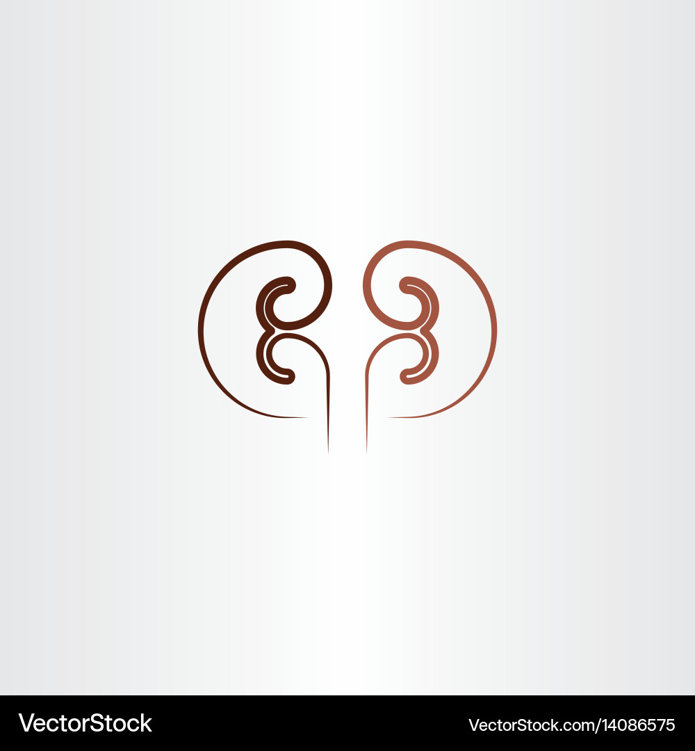Kidney line icon design element Royalty Free Vector Image