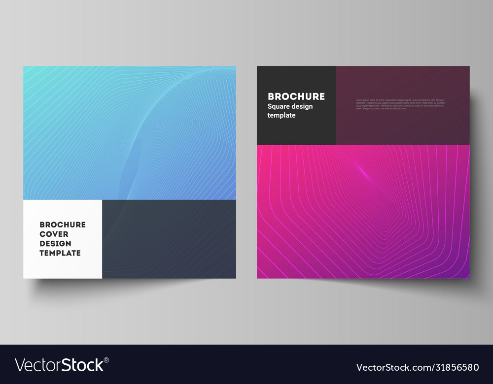 Minimal editable layout Royalty Free Vector Image