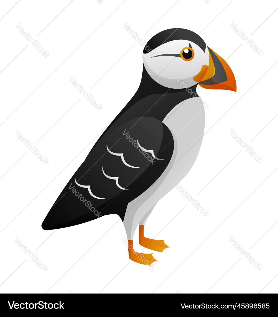 Atlantic puffin cartoon character Royalty Free Vector Image