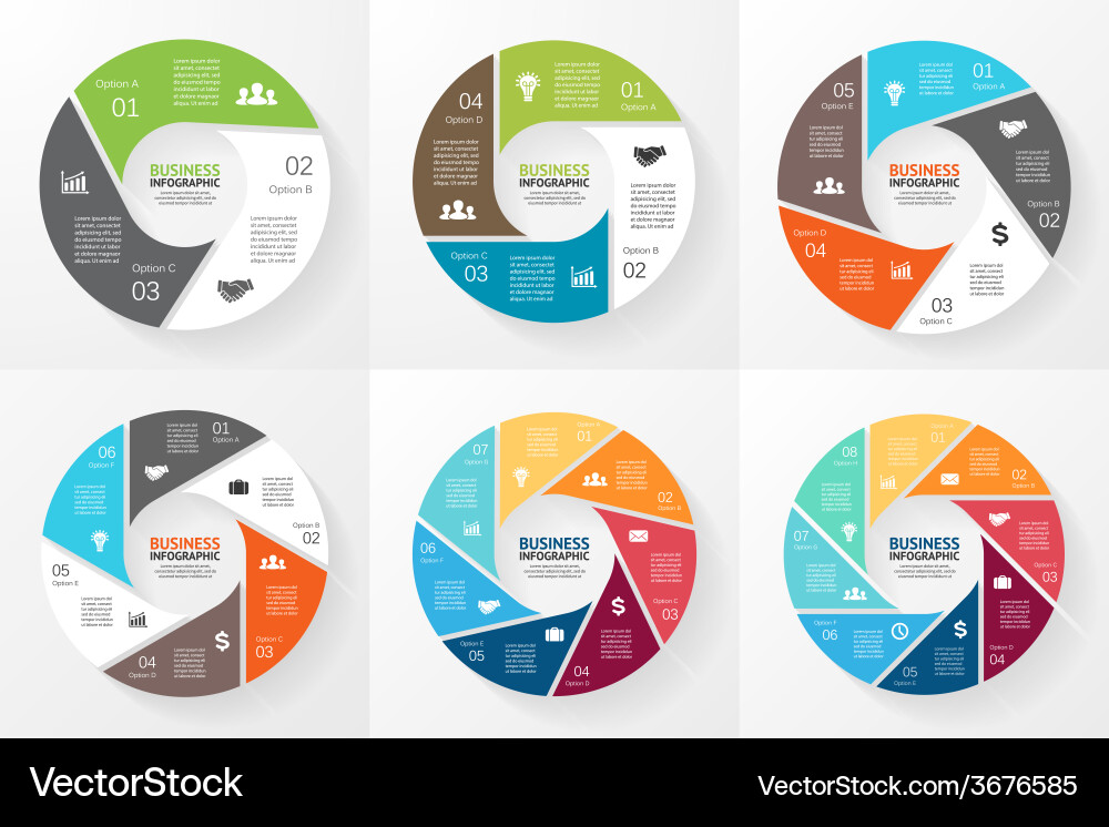 Business circle infographic diagram with options Vector Image