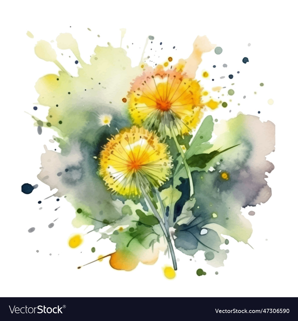 Dandelions watercolor beautiful dandelion flowers Vector Image