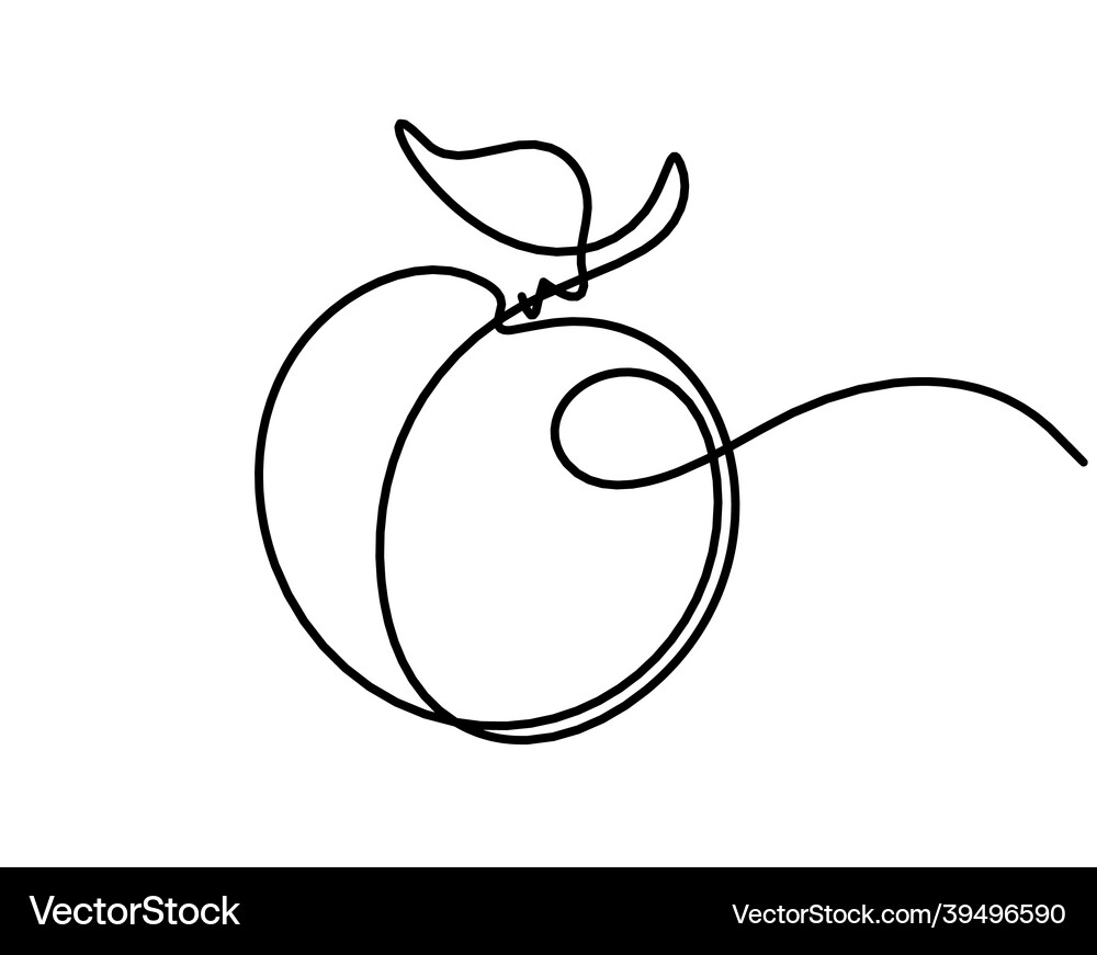Drawing lidrawing line apricot peach nectarine Vector Image