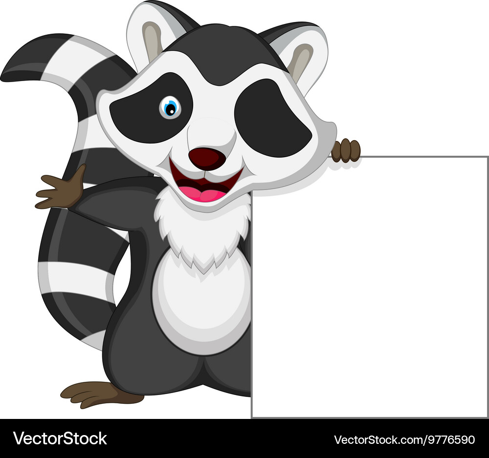 Raccoon cartoon posing with blank sign Royalty Free Vector
