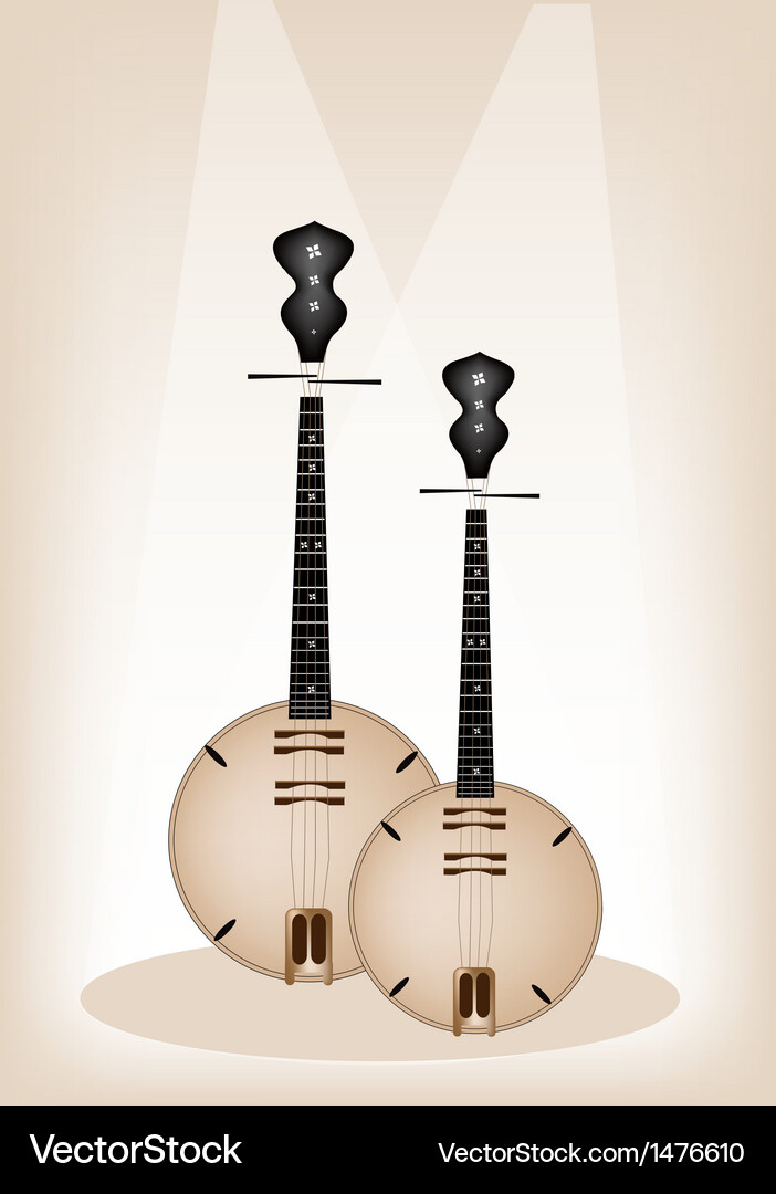Musical dan nguyet Royalty Free Vector Image - VectorStock