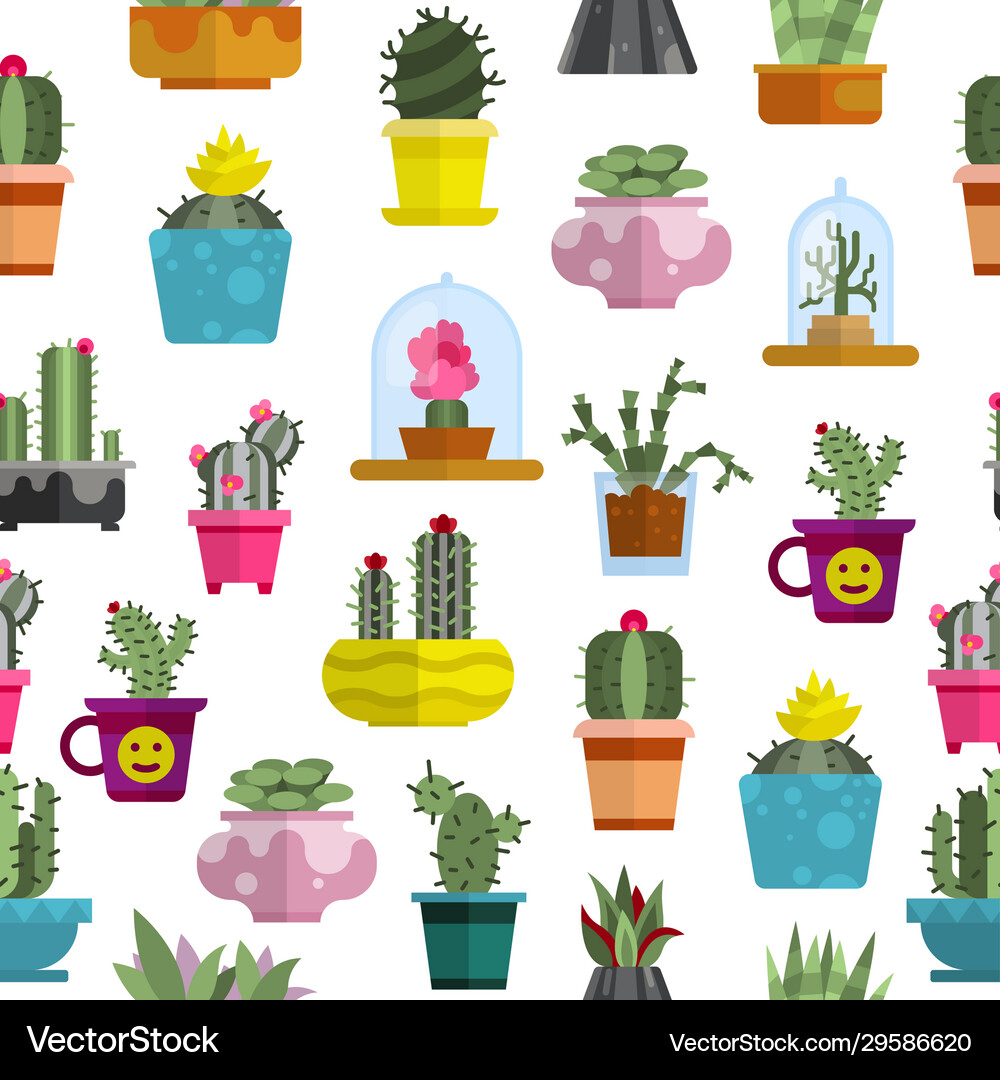 Cartoon cactuses and succulents seamless pattern Vector Image