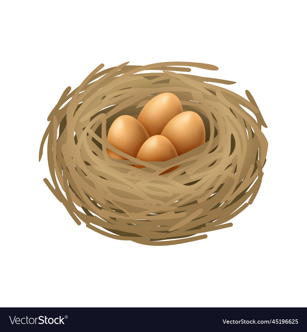 Realistic birds nest composition Royalty Free Vector Image