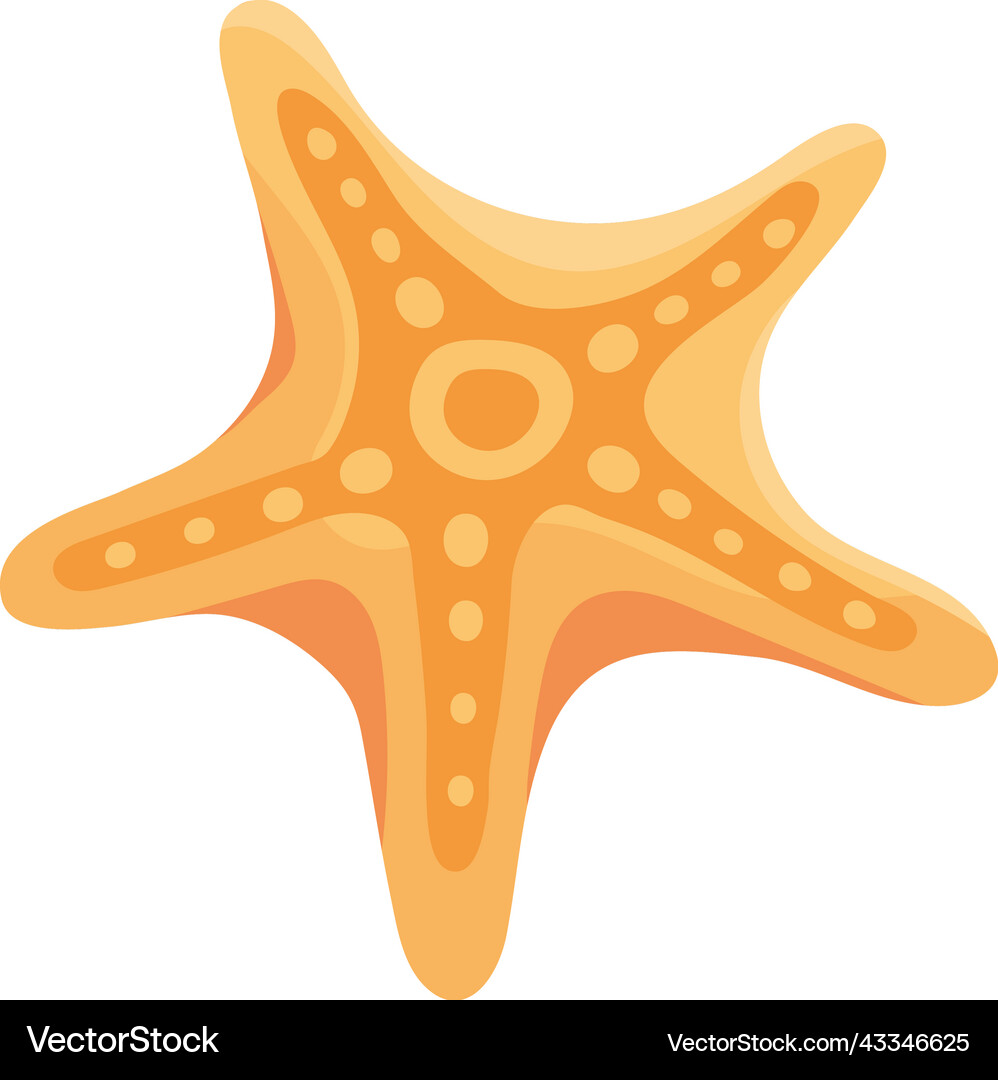 Starfish sea life Royalty Free Vector Image - VectorStock