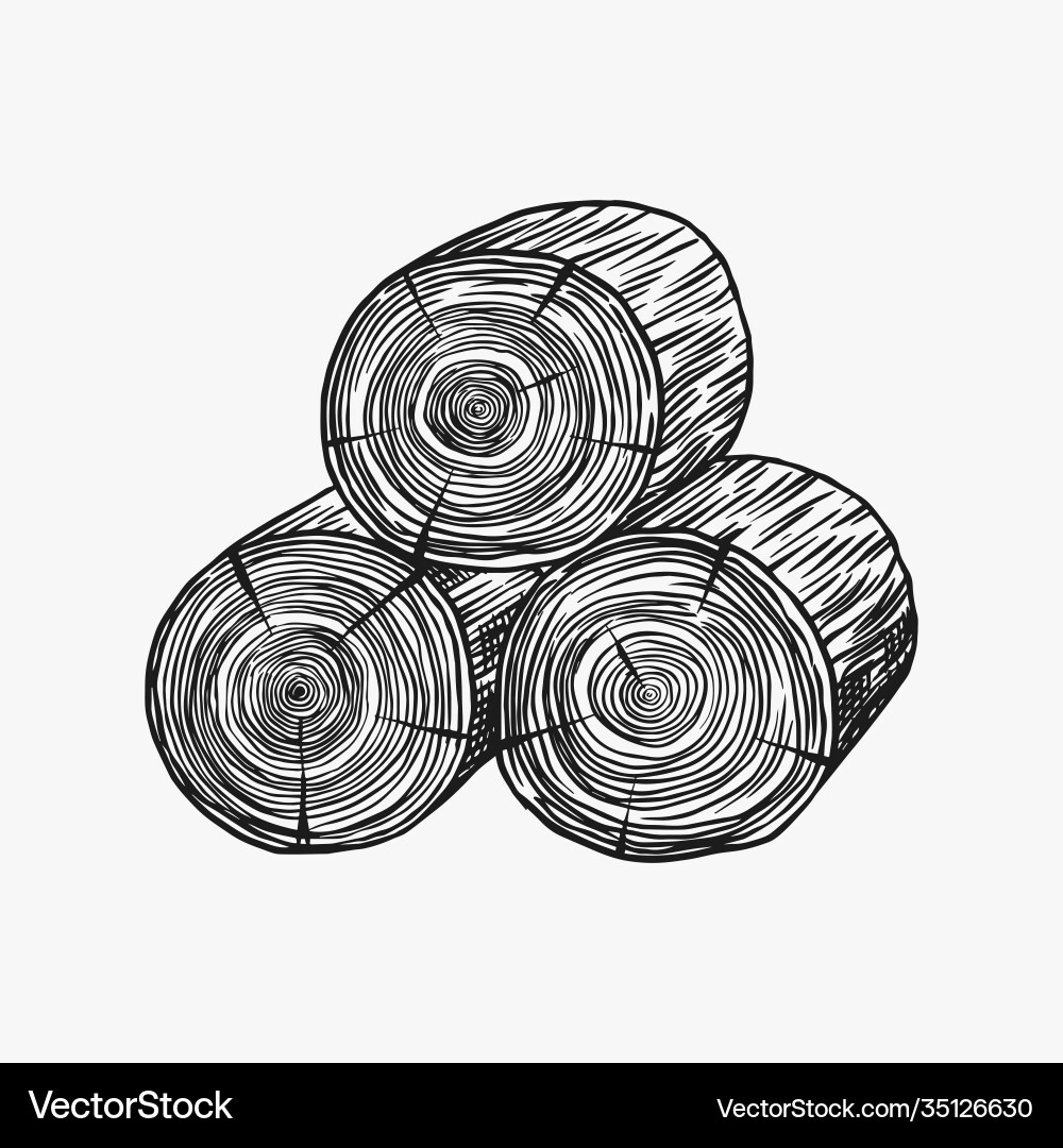 Wood or logs piece tree plank lumber Royalty Free Vector