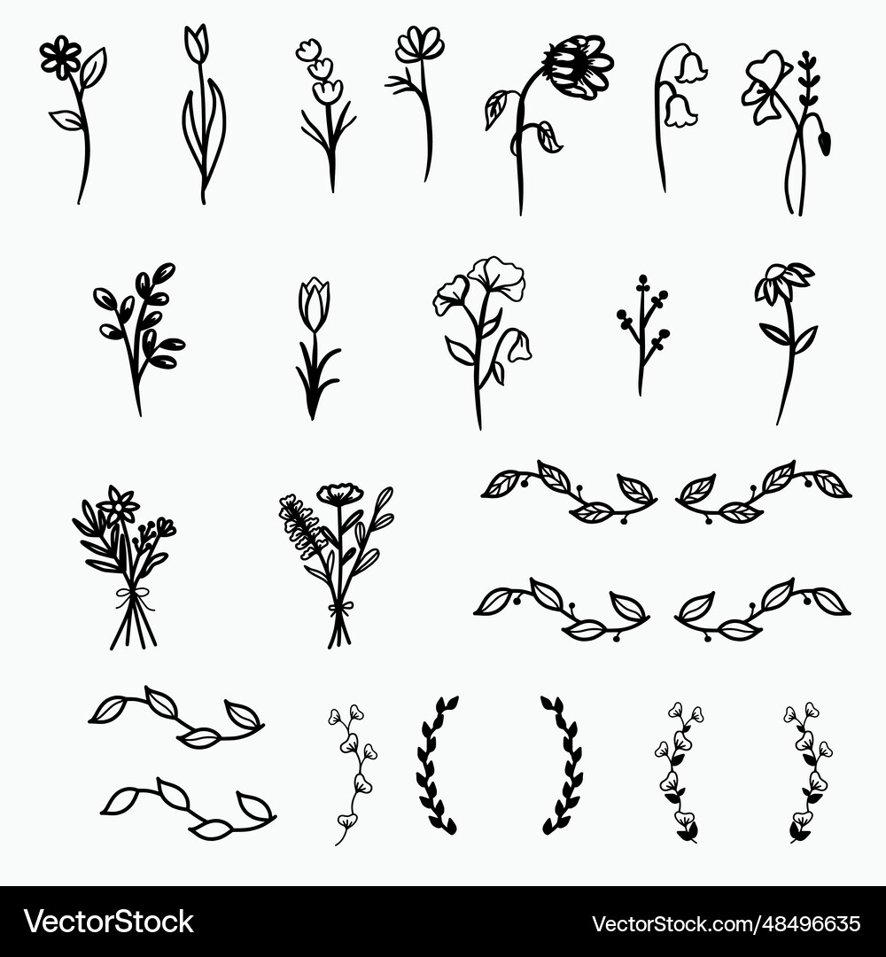Botanical line flowers and divider collection Vector Image