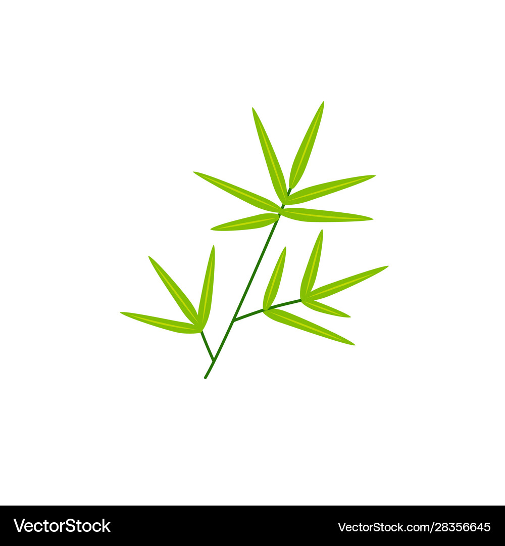 A branch with bamboo leaves green Royalty Free Vector Image